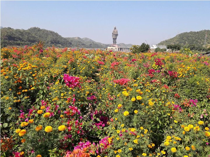 17 Most Famous Tourist Attractions in Gujarat and Around Statue of ...