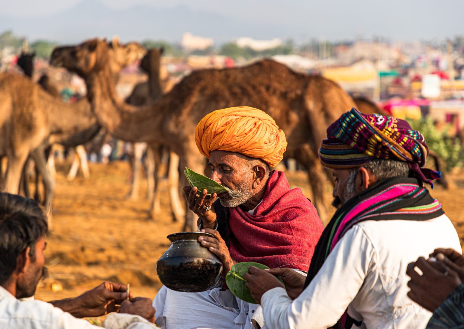 Place to visit in Rajasthan, Activities in Rajasthan